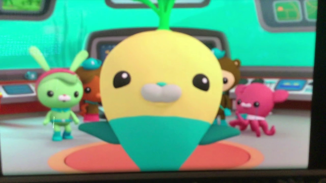 Creature report ducks - YouTube