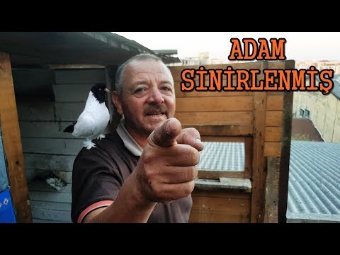 HASAN ABİNİN 30 DAN FAZLA KUŞU ÖLMÜŞ. YAZIK...