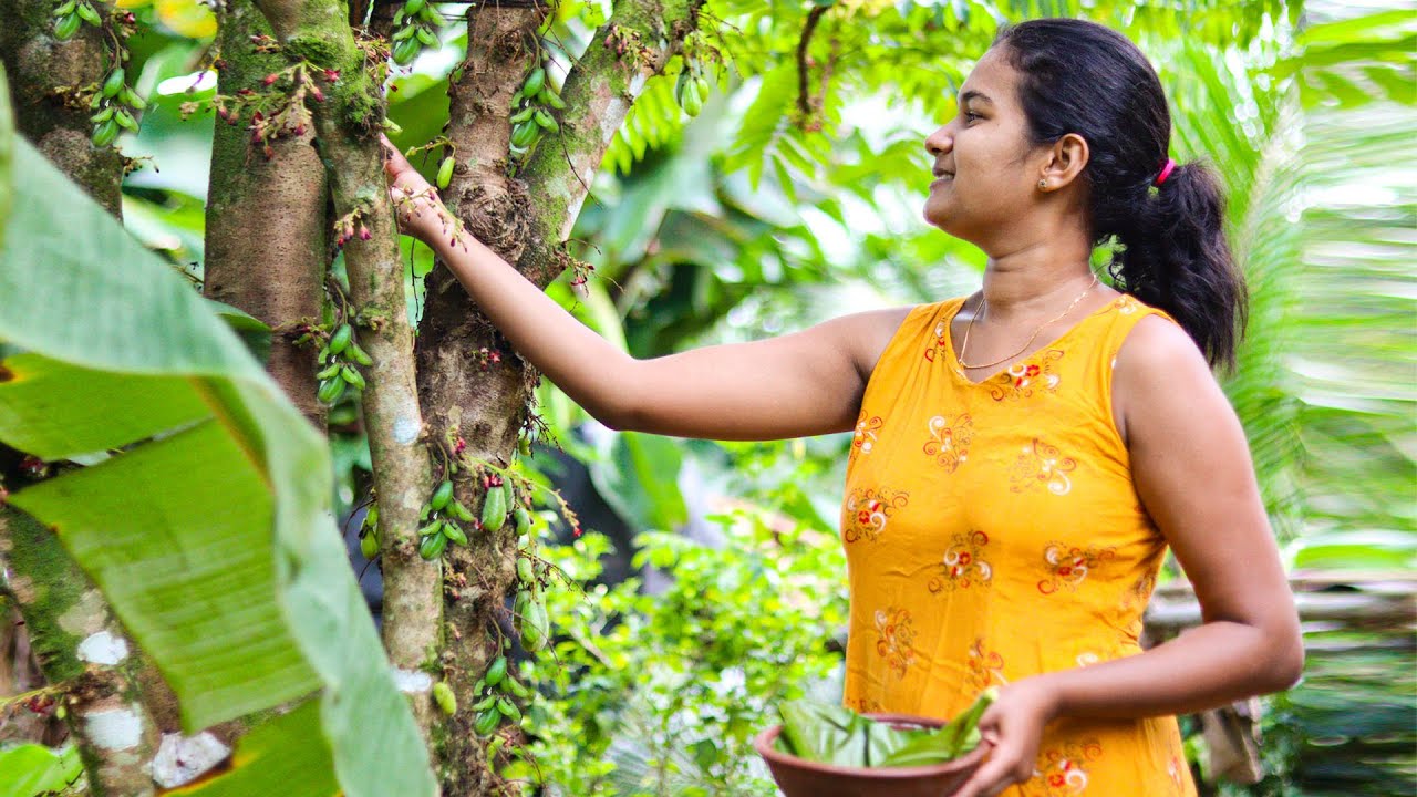 Bilimbi pickle recipe in village style | Billin Aachcharu | බිලි ...