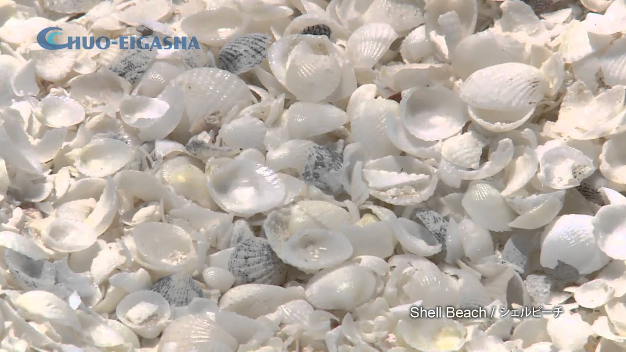 【World Heritage】Shark Bay(Shell Beach), WA, Australia | 世界遺産:オーストラリア ...