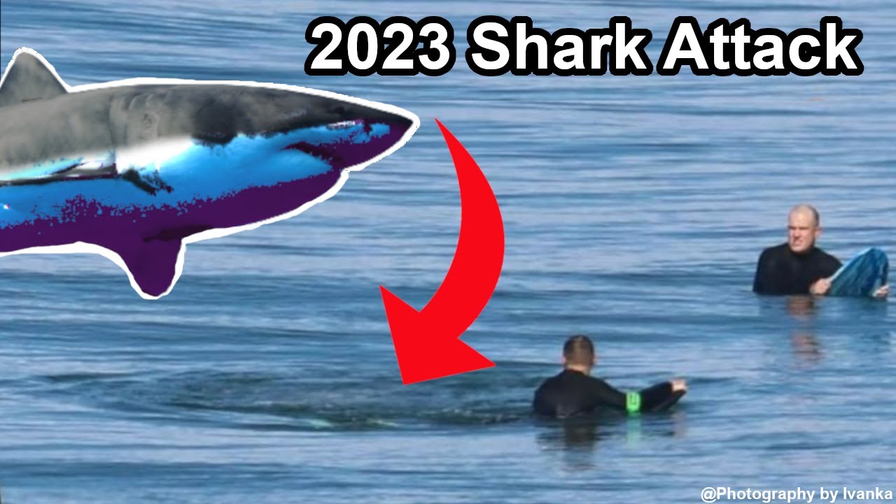 Great White Shark takes Surfers Leg. Toby Begg 2023 Shark Attack - YouTube
