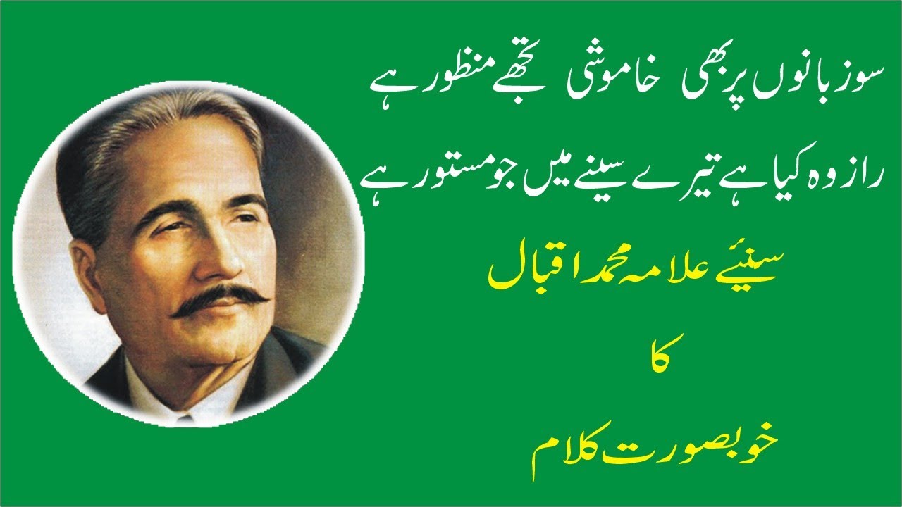 Allama Muhammad Iqbal // Bang e Dara // Poet 02 //علامہ محمد اقبال ...