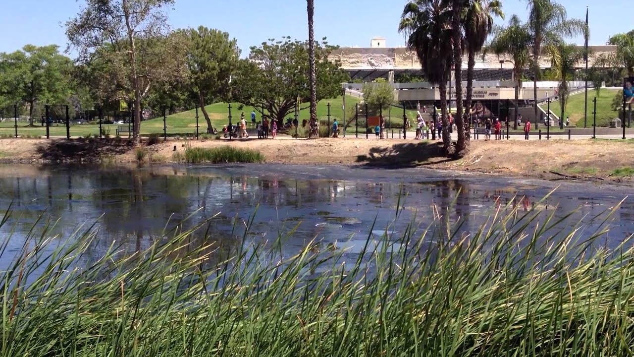La Brea Tar Pits Bubbling - YouTube