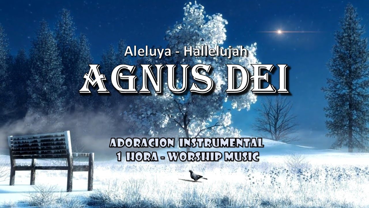 Adoración Instrumental - AGNUS DEI / Aleluya / Hallelujah - Oración y ...