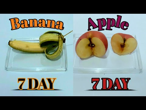 Time Lapse || Proses membusuknya Pisang 🍌& Apel 🍎 - YouTube