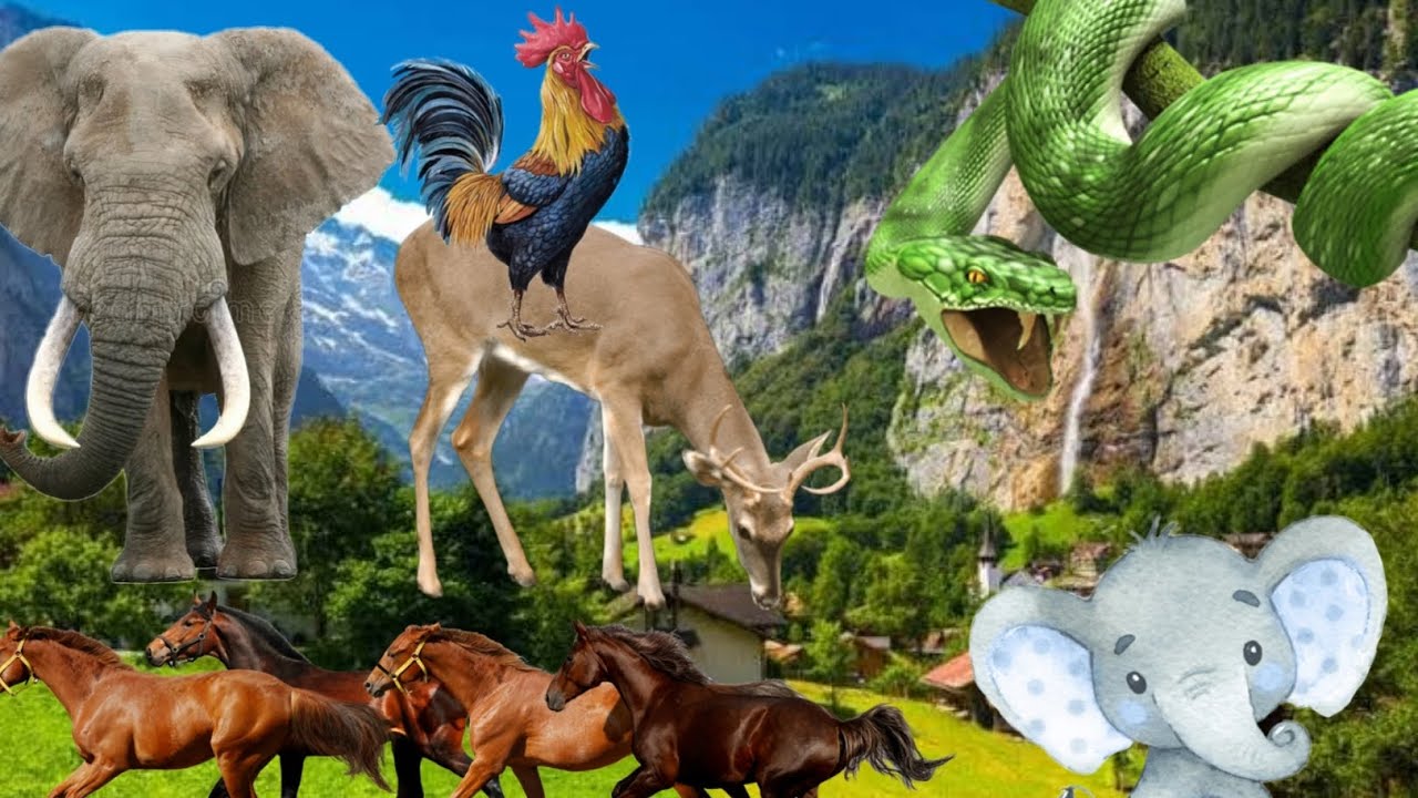 mengenal hewan gajah rusa beruang kutub ular kuda - YouTube