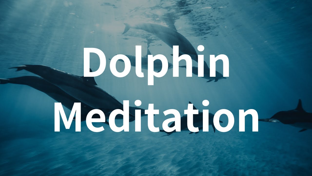 Calming Meditation Music Dolphin - YouTube