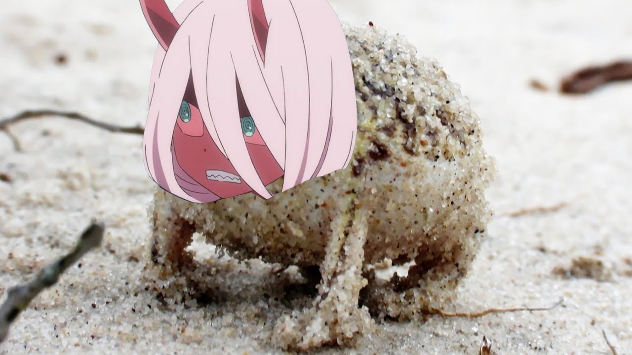 A Very Angry Zero Two - YouTube