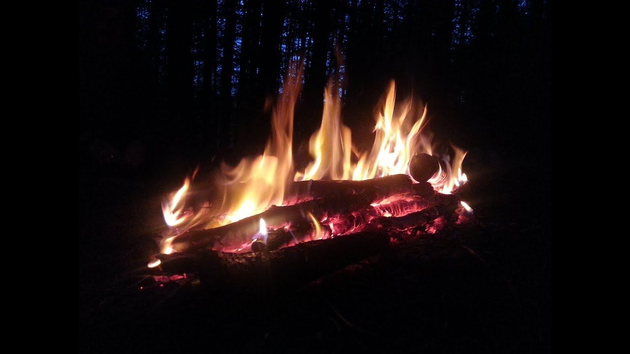 An introduction to Bushcraft - Scouting kit and Springtime Walkabout ...