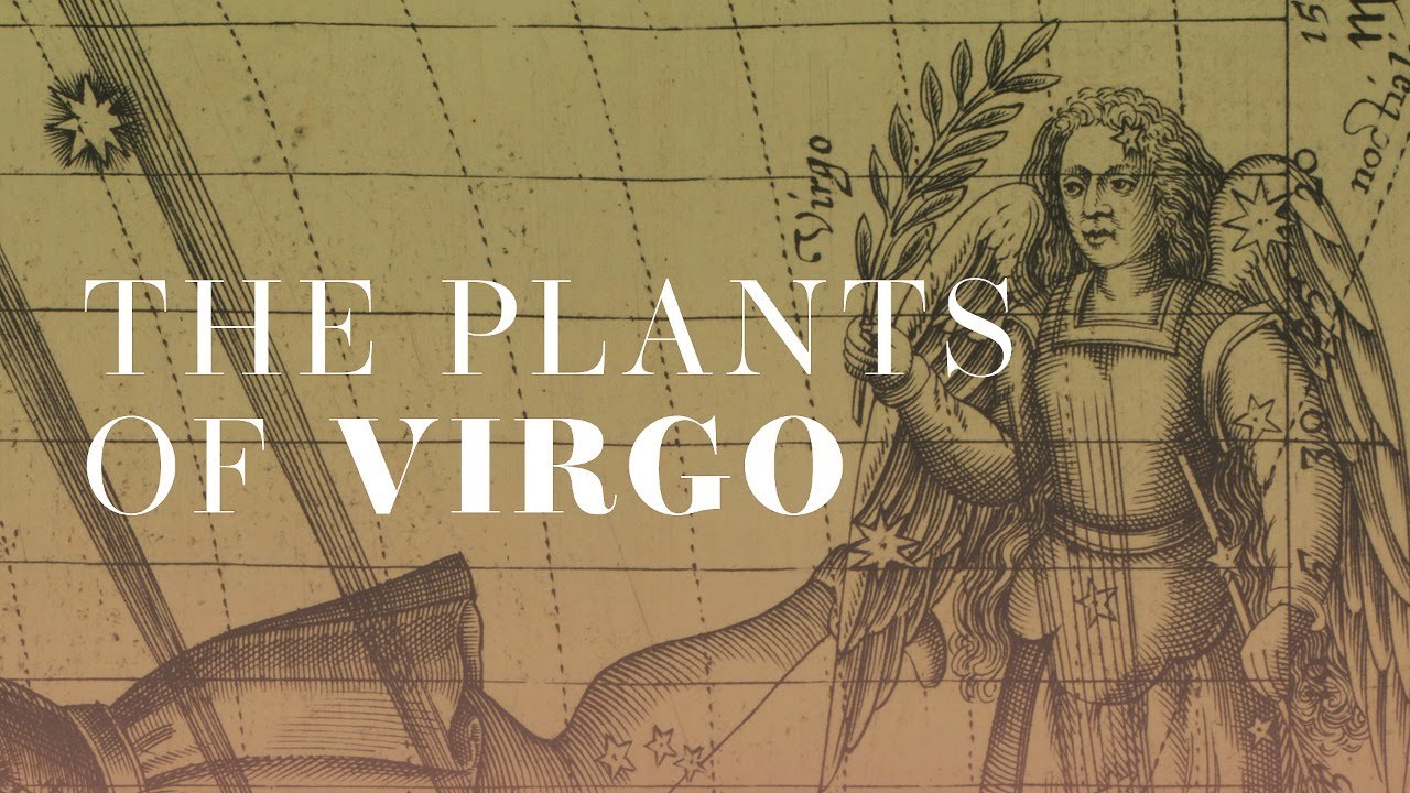 The Plants of Virgo - YouTube