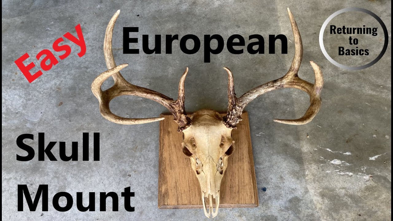 DIY European Mount - Cheap & Easy - YouTube