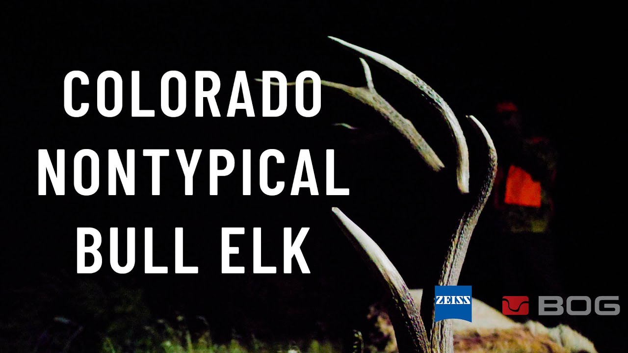 Colorado Non-Typical Bull Elk - Pete Angle - YouTube