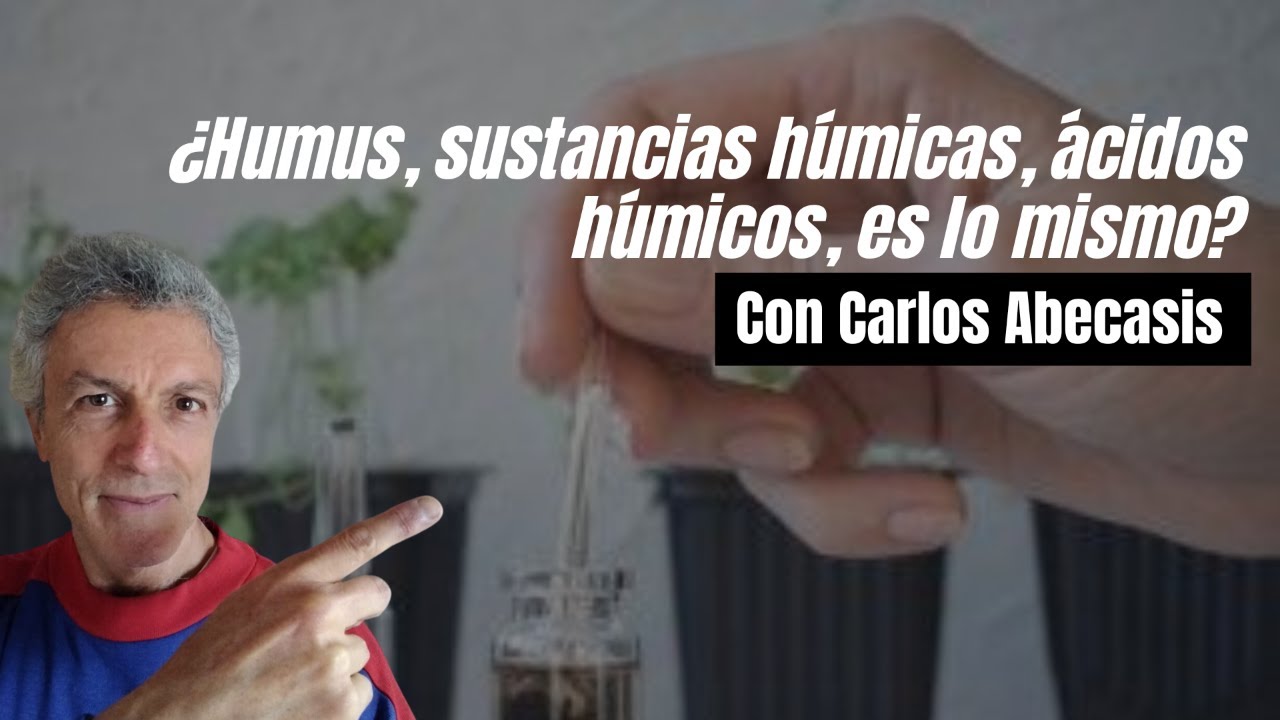 Humus, sustancias húmicas, ácidos húmicos, es lo mismo? - YouTube