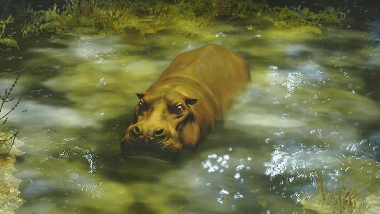 Secret Talking Hippo Easter Egg in HITMAN 3 - YouTube