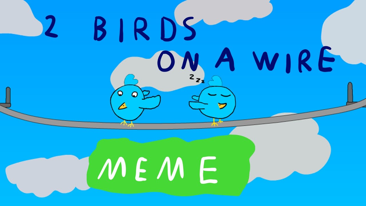 2 BIRDS ON A WIRE (animated meme) - YouTube