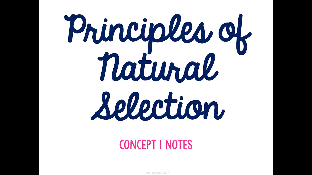 Unit 6 Evolution Concept 1 Notes *UPDATED* - YouTube