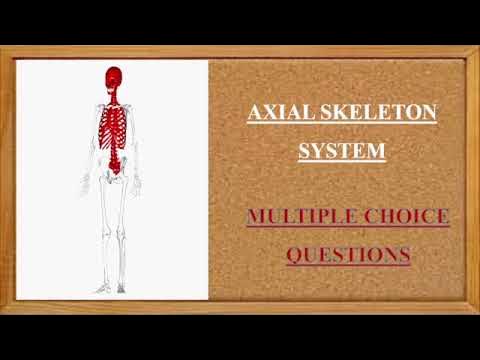 AXIAL SKELETON SYSTEM MCQ // SKELETON SYSTEM // BONES // HUMAN ANATOMY AND PHYSIOLOGY - YouTube