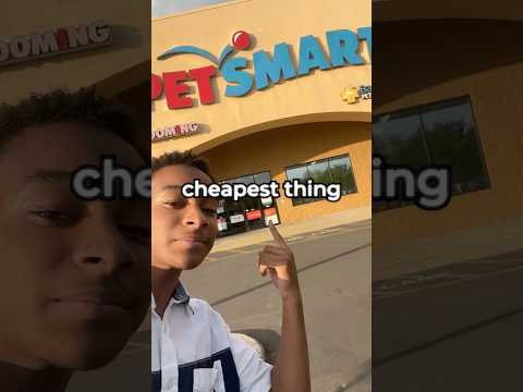 Does Petsmart Cary Fruit Flies