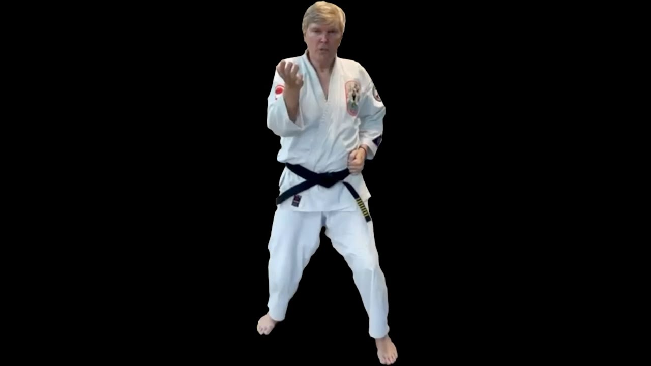 #7 Bite Size Basics: 15 Karate Lessions Every Beginner Must Know! - YouTube
