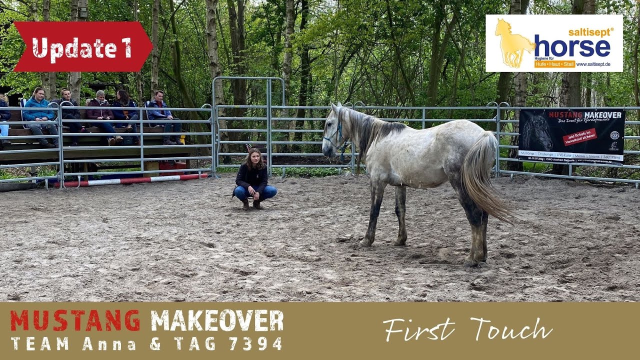 MUSTANG MAKEOVER 2022 - First Touch mit einem wilden Mustang 🐴 |Team ...