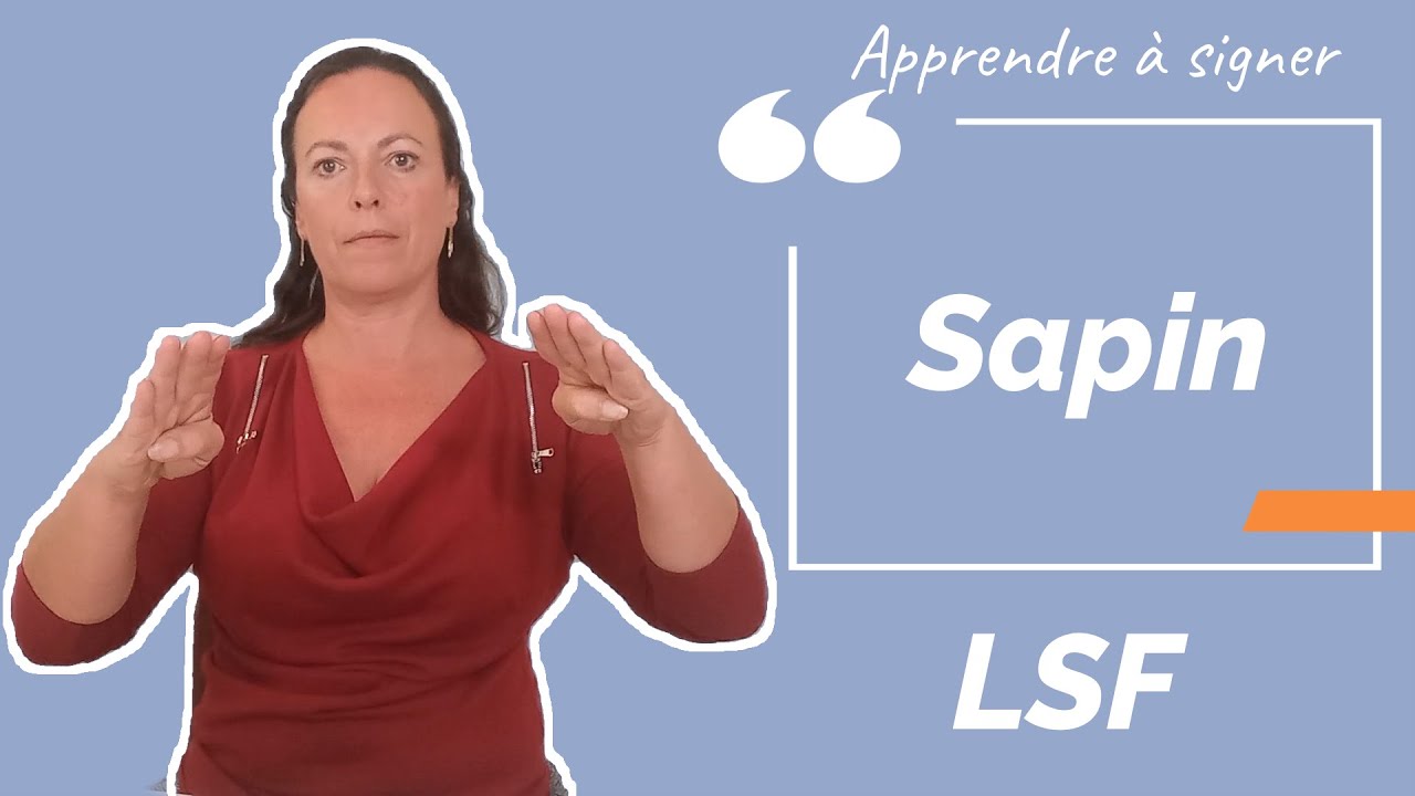 Signer SAPIN en LSF (langue des signes française). Apprendre la LSF par ...