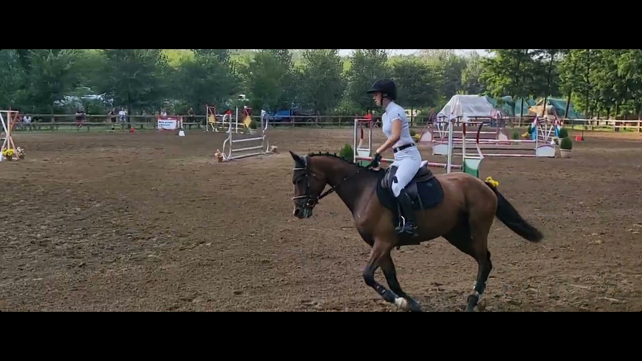 Athos Démon 5yo mare & Szigeti Eliza 80cm - YouTube