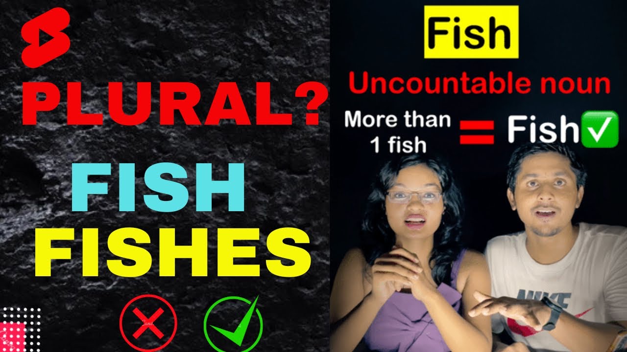 What Is Plural Of Fish Fish Or Fishes shorts YouTube what-is-plural-of-fish-fish-or-fishes-shorts-youtube