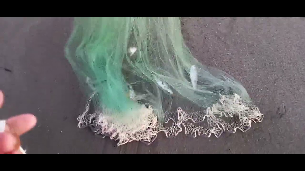 miren a este hombre tira la tarraya y pesca cientos de pescado 🐠 - YouTube