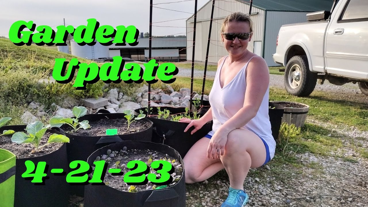 Garden update - YouTube