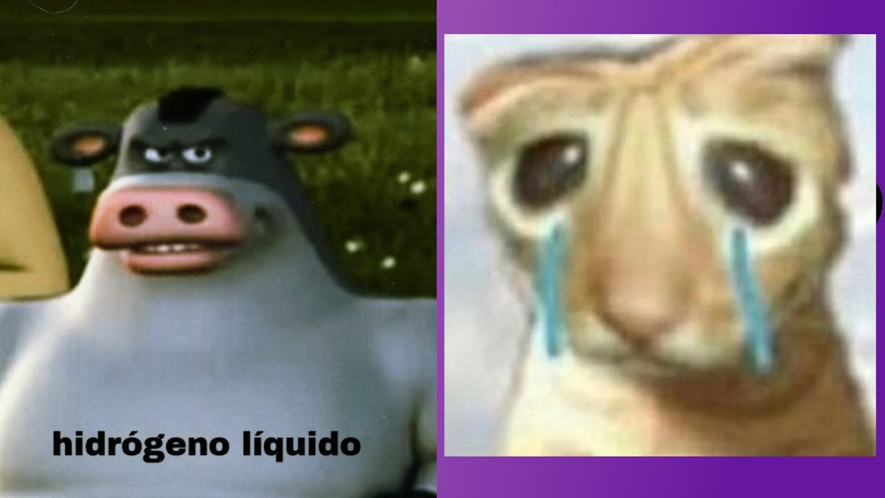 Shitposting compilation | Videos random | Memes | Video graciosos #26 ...