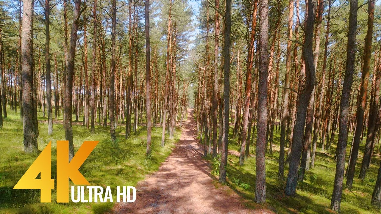 Amazing Nature of Lithuania - 4K Walking tour - Part #1 - Short Preview ...