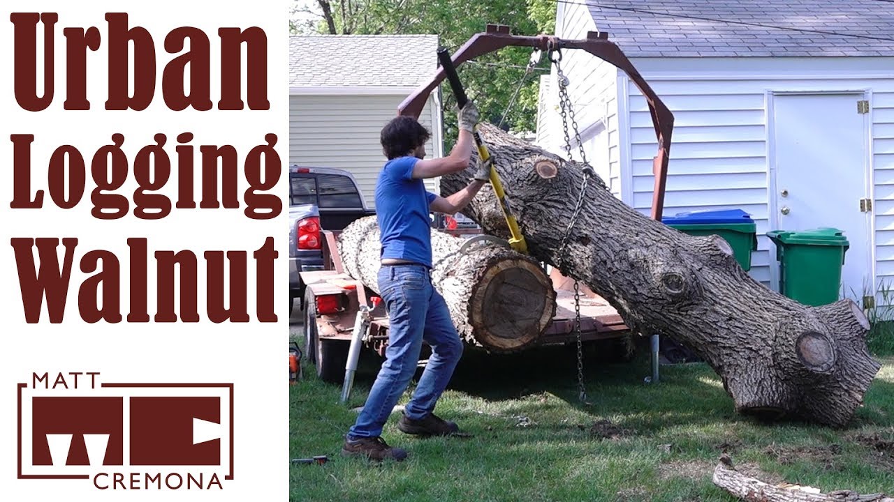 Picking Up a Walnut Tree - Urban Logging - YouTube