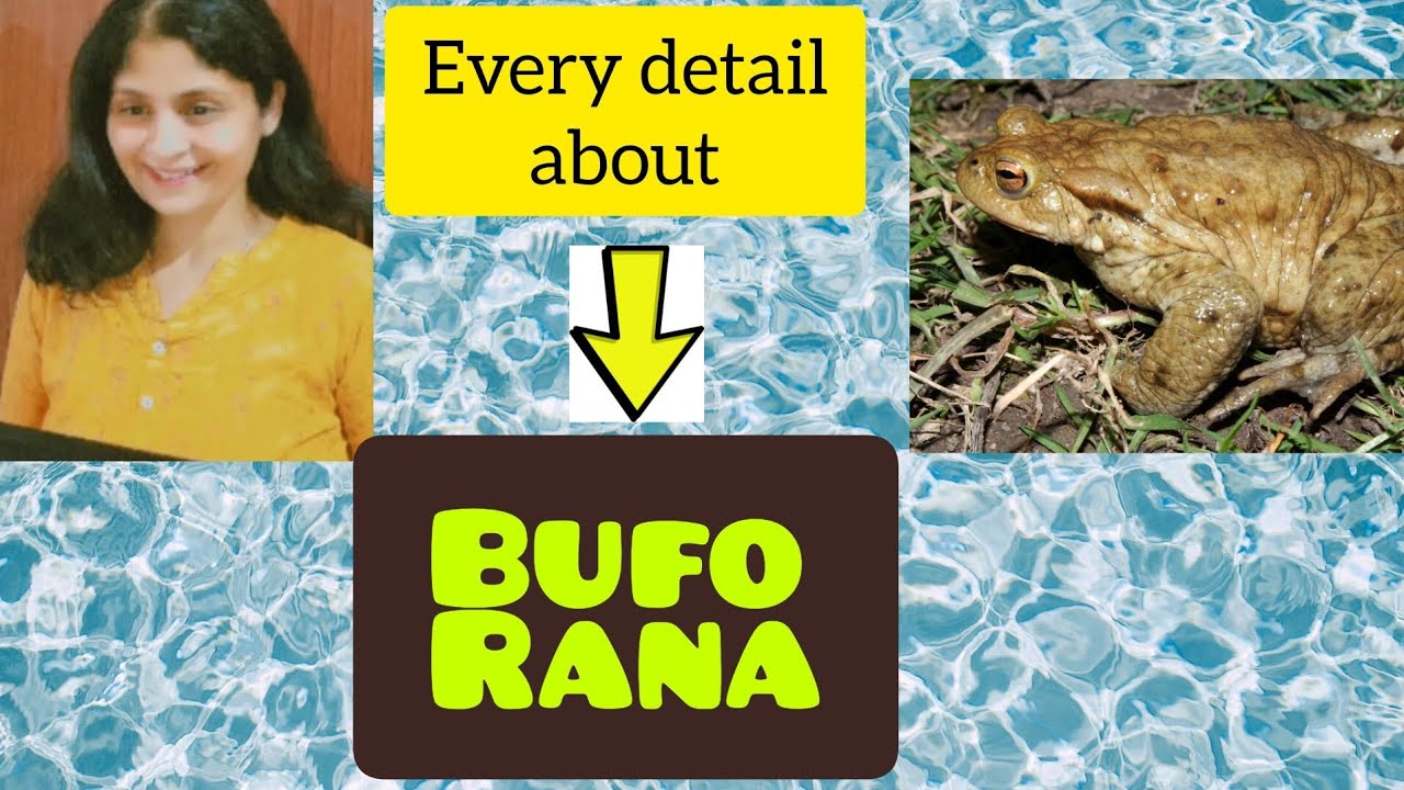 Homeopathy | Bufo Rana | Keynotes | Toad | Personality | Rubrics ...