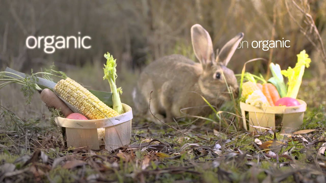 "Follow your instinct: eat organic!" Organic Food - Rabbit - YouTube