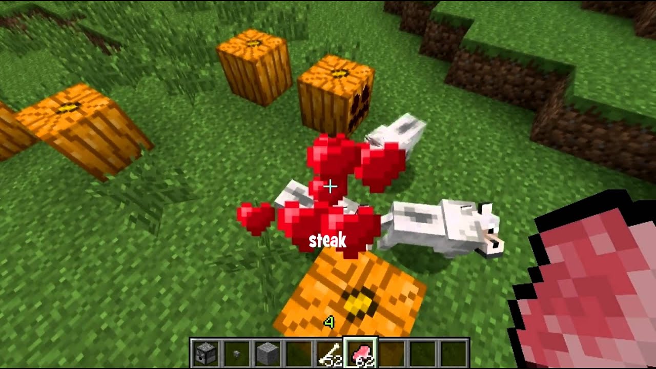 Minecraft Wolf Breeding Tricks/Tips - YouTube