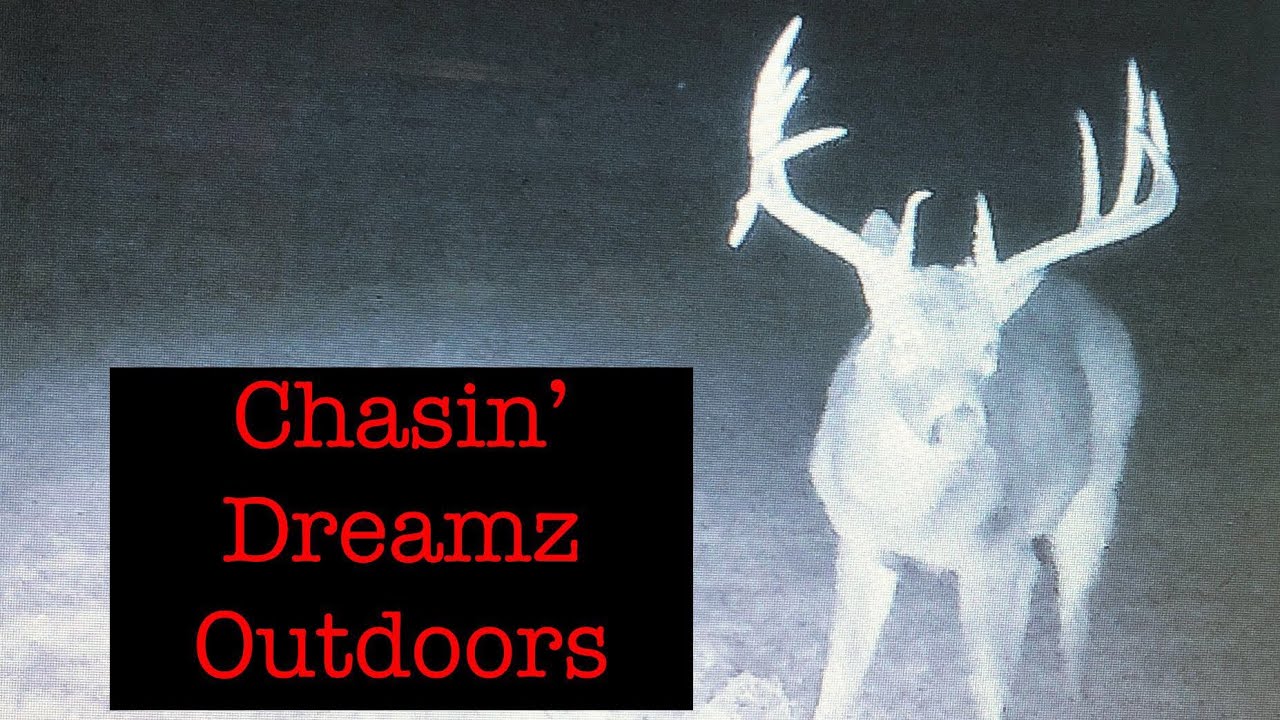 Chasin’DreamzOutdoors - HUGE Kentucky Whitetail Buck Reveals Himself ...