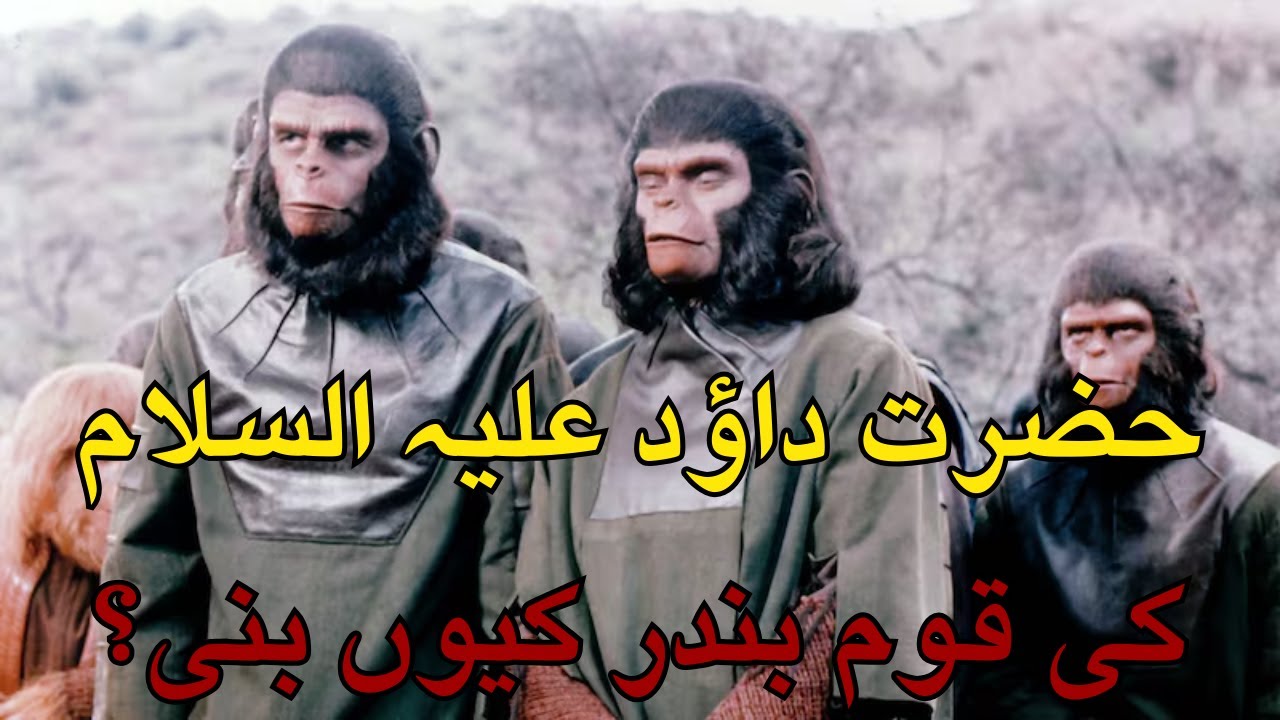 How Did The People Of David Become Monkeys - YouTube