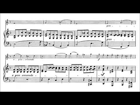 Portnoff, Leo Violin Concertino Opus 18 for violin + piano
