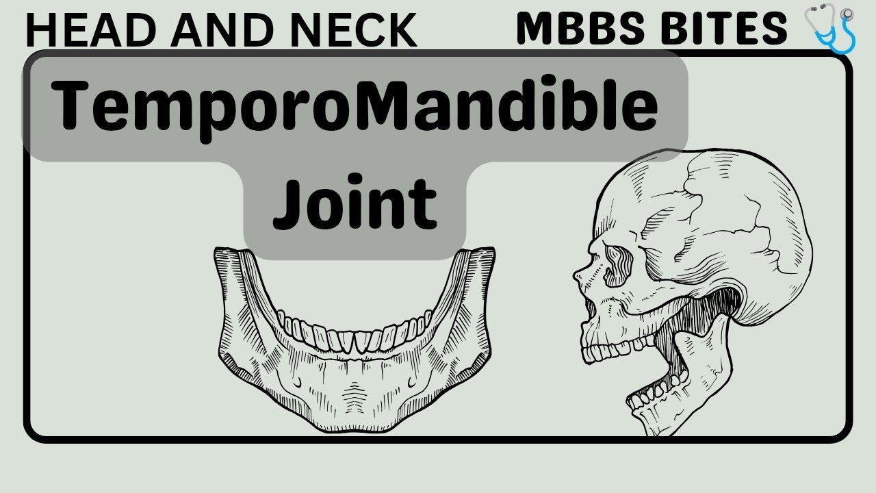 Temporomandibular Joint || Head and Neck Anatomy - YouTube