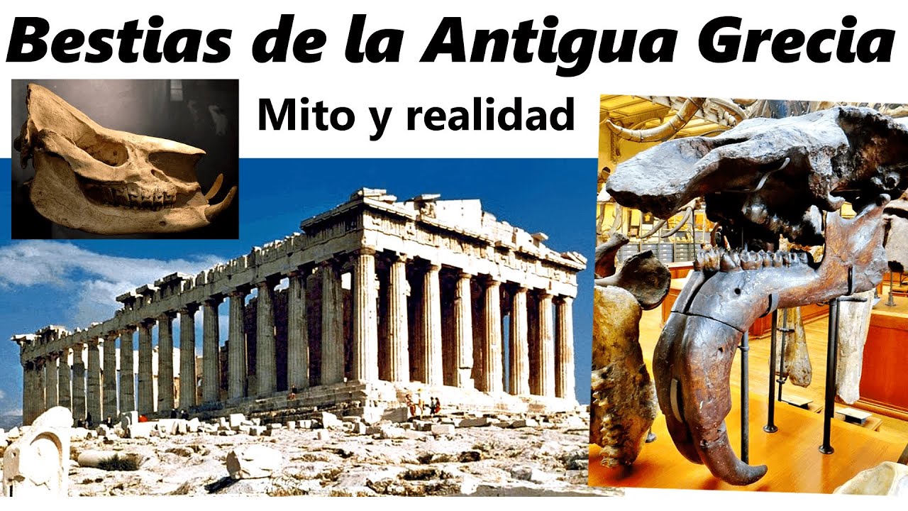Bestias de la Antigua Grecia: mito y realidad - YouTube