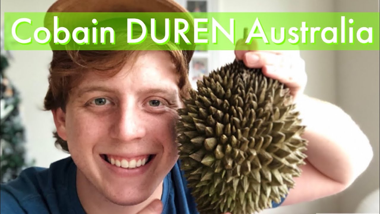 DURIAN AUSTRALIA: Nick Review Durian Fresh dri Perkebunan di Australia ...