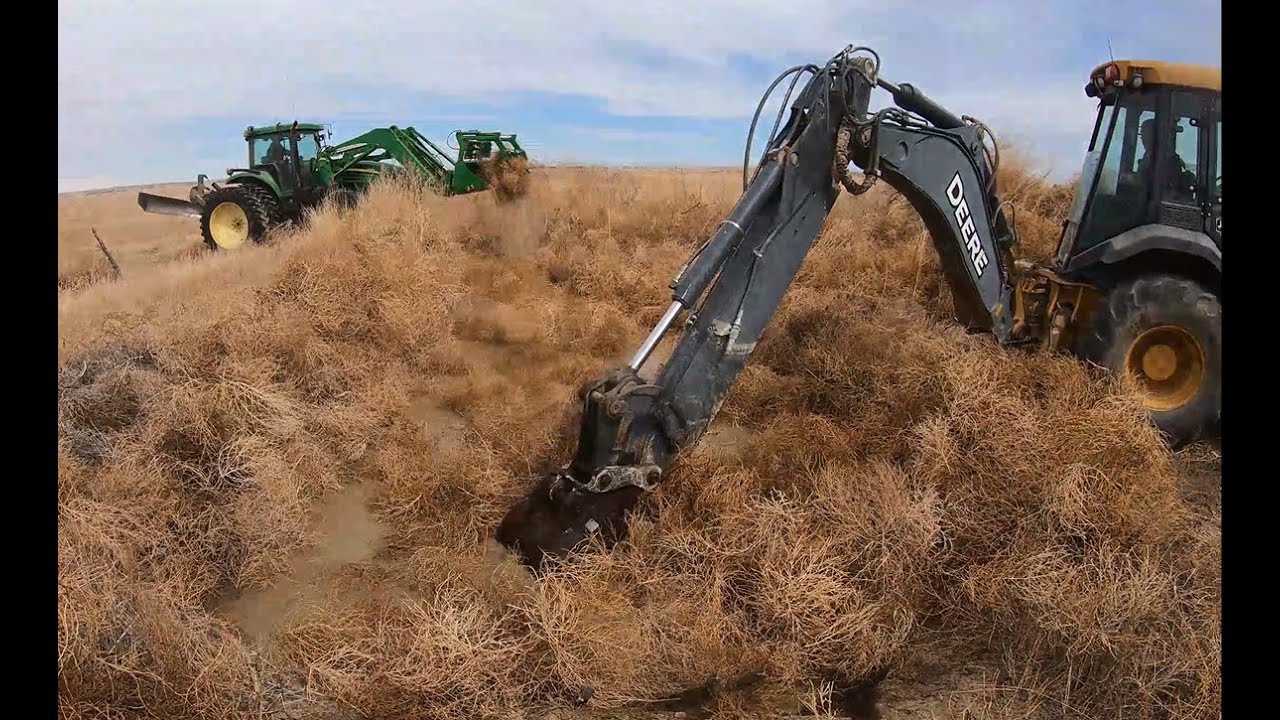 Tumbleweeds take over - YouTube