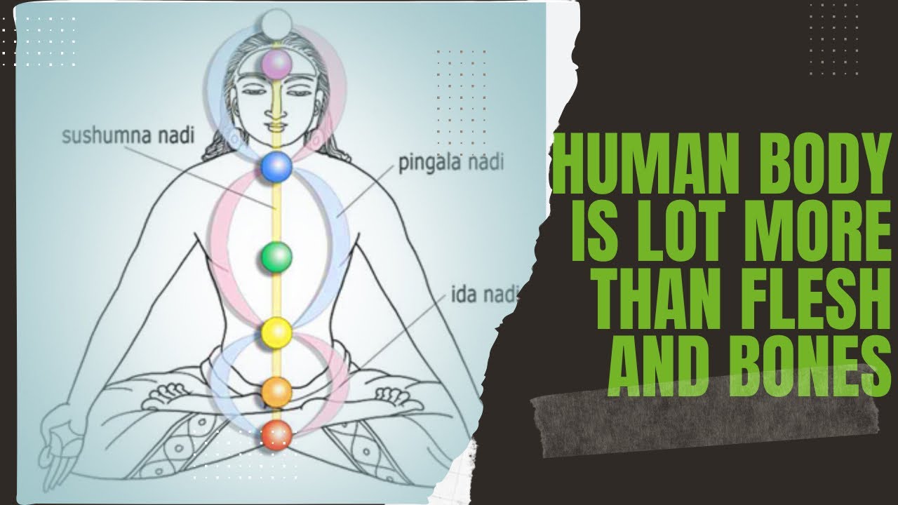 Incredible unknown facts about ida and pingala nadis - YouTube