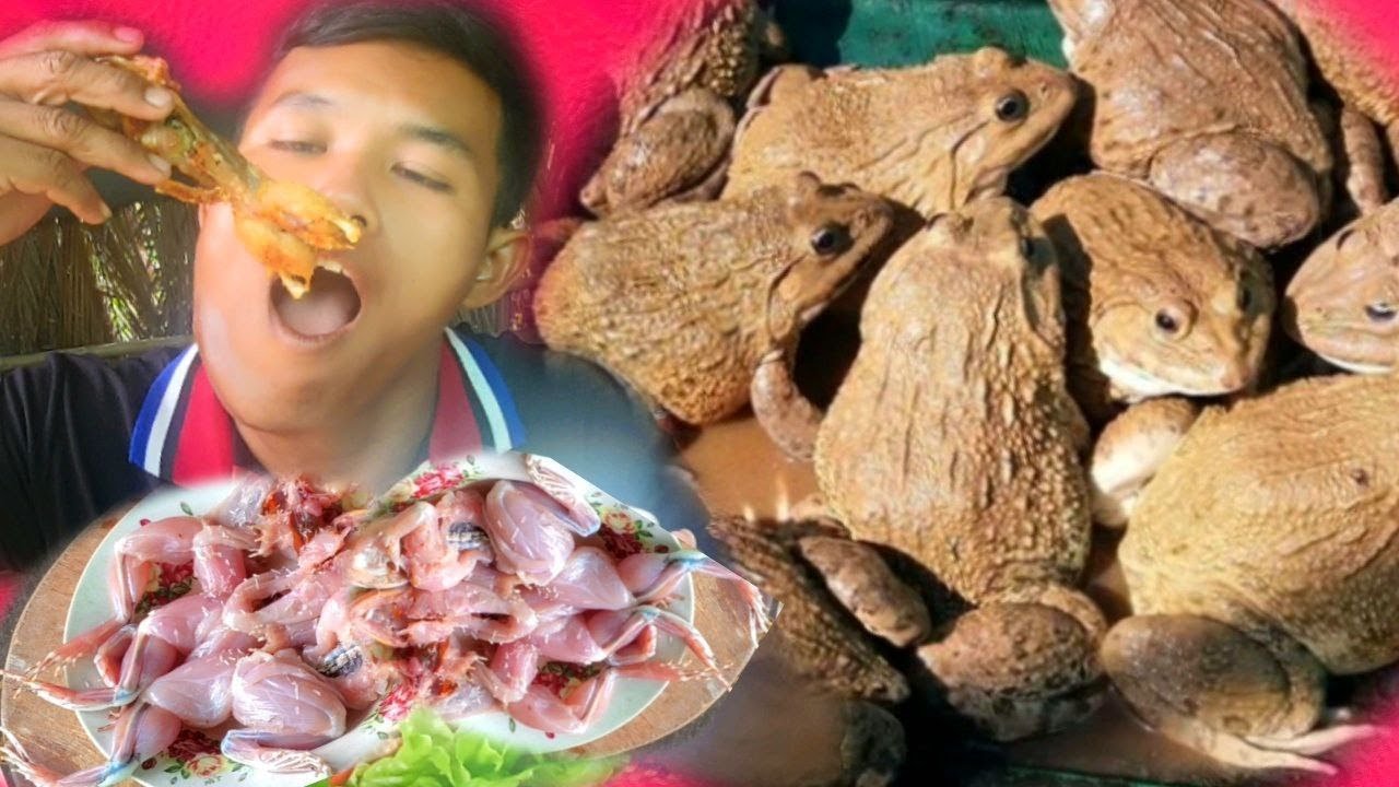 Yummy Frog Recipes / Fried Frog With Pepper Sauce - YouTube