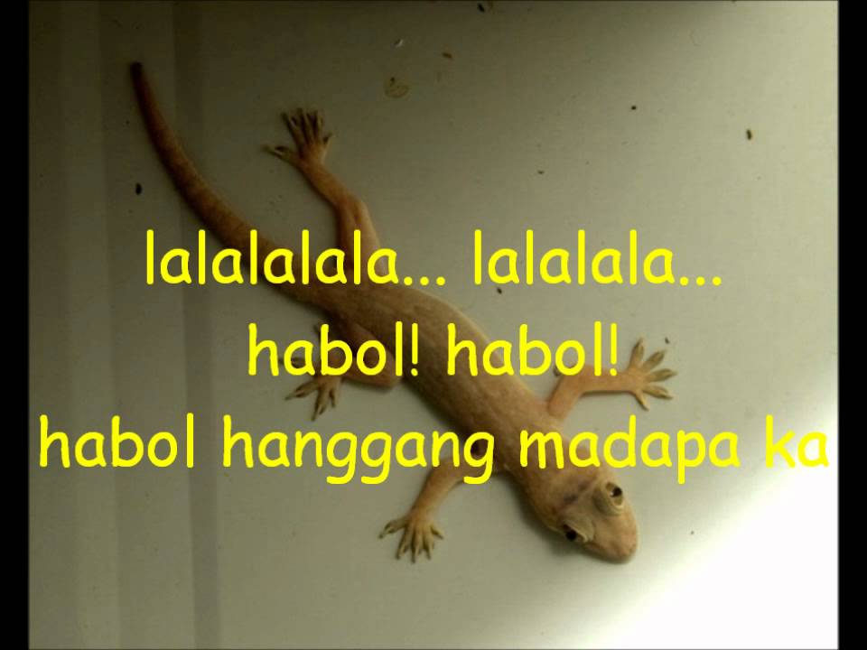 Butiki Song by Butikesame (lyrics) HD - YouTube