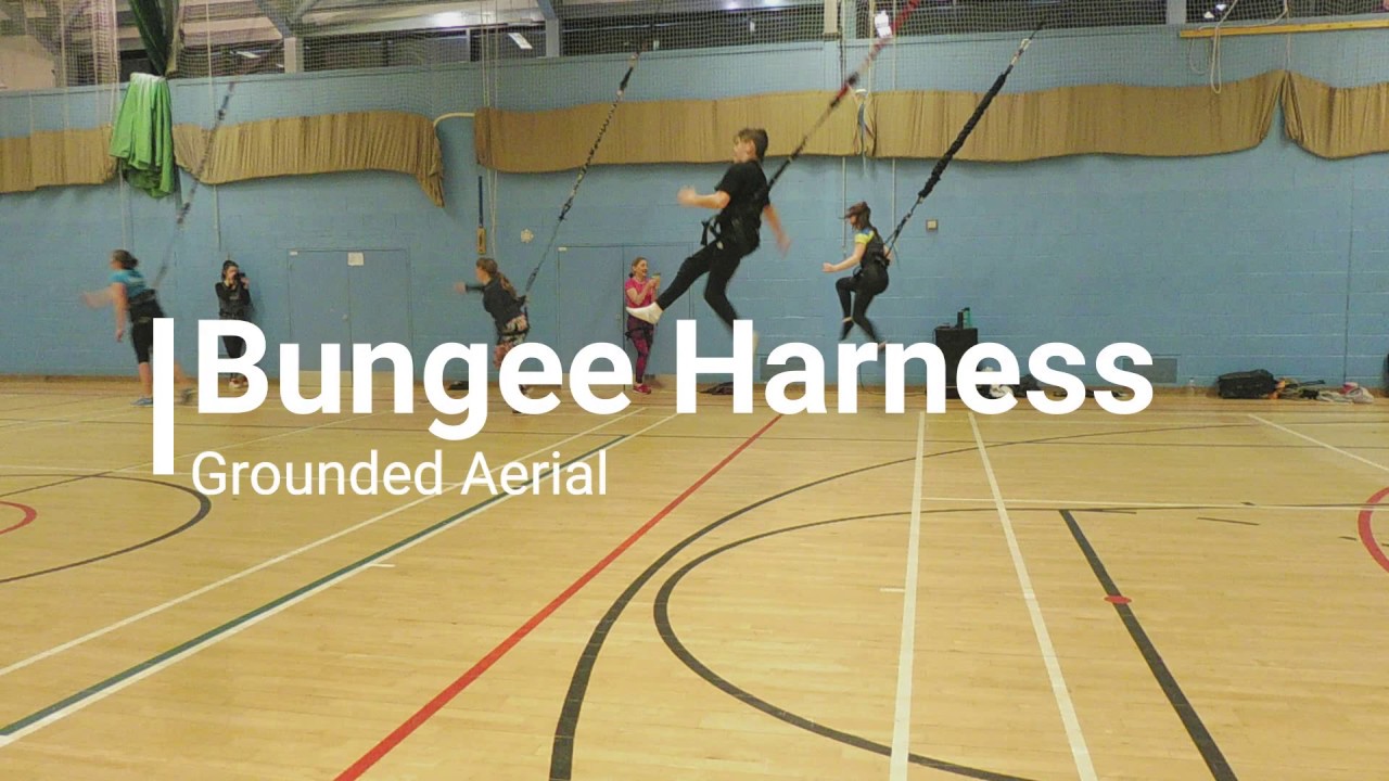 Bungee Harness Workshop - Grounded Aerial - All or Nothing Aerial Dance ...