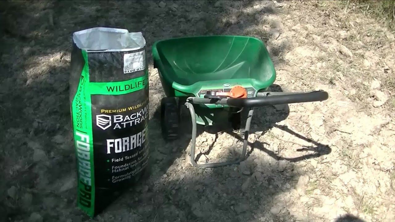 COKER 227 OATS FOOD PLOT 2019 - YouTube