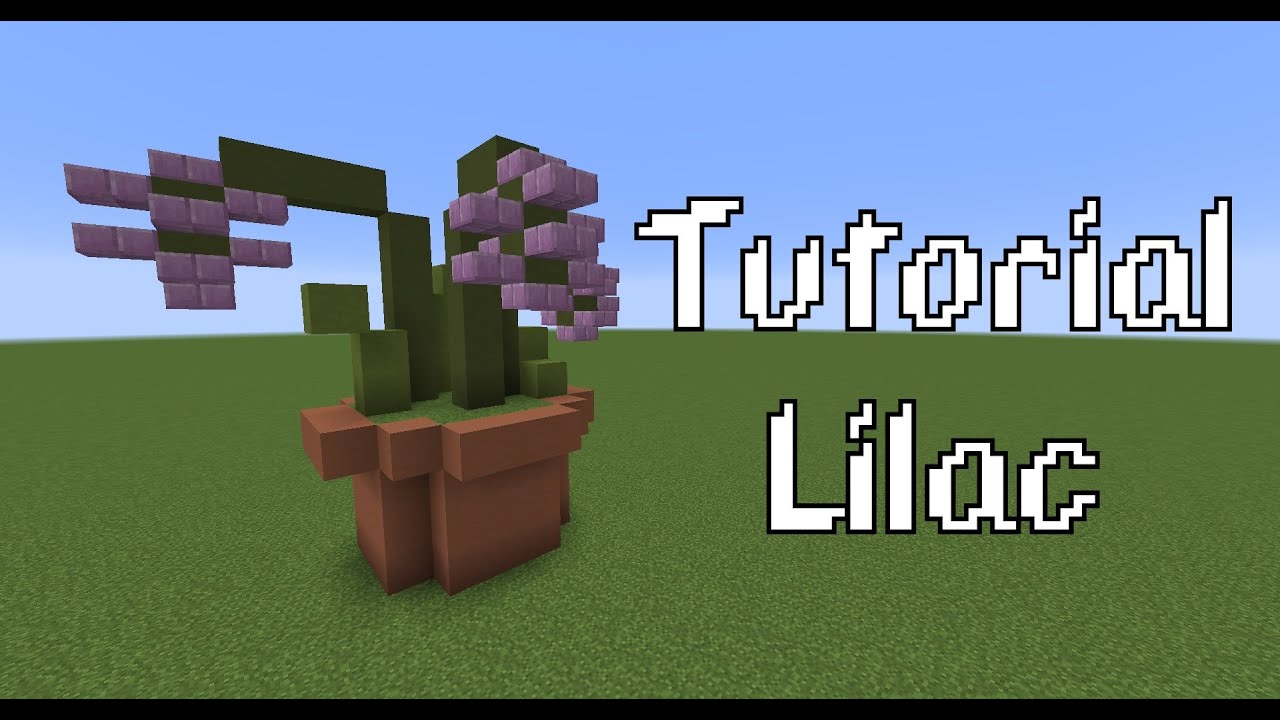 Lilac Minecraft