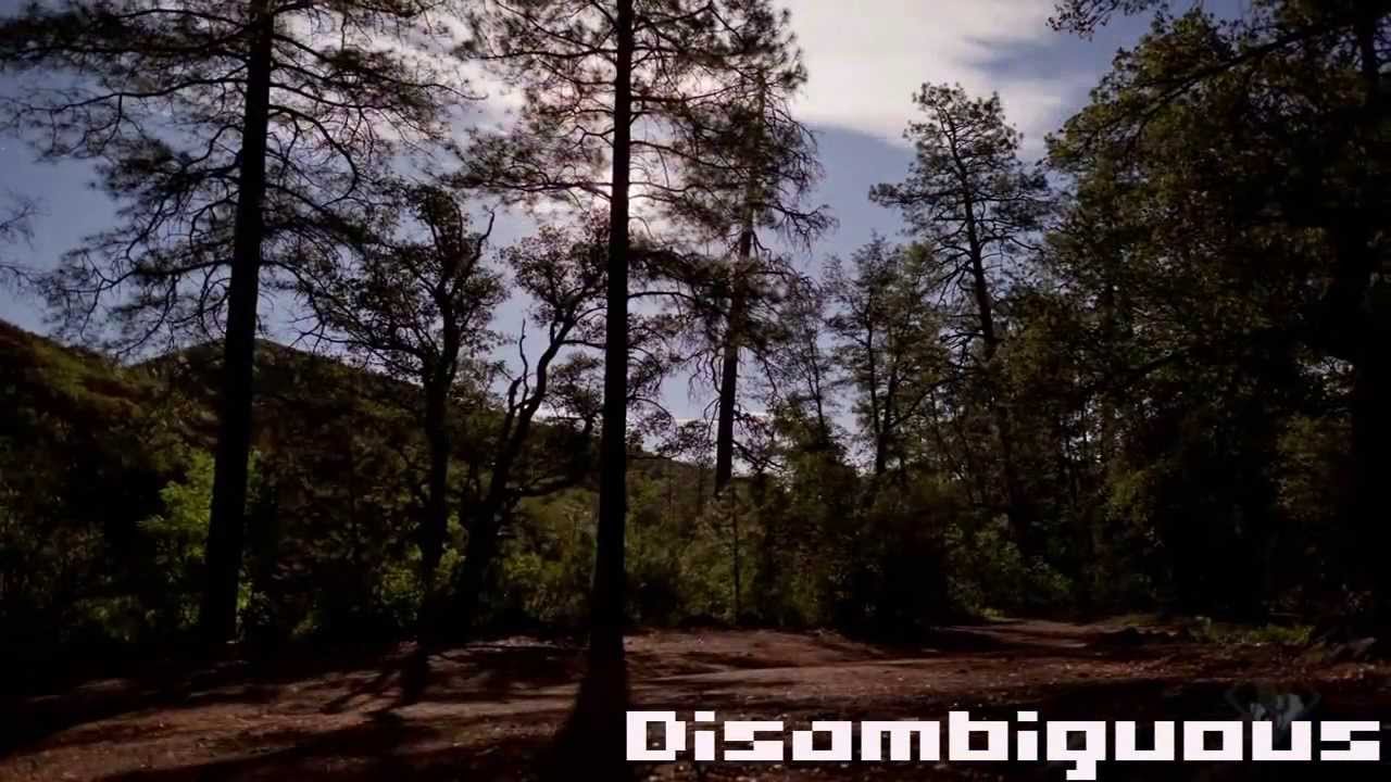 Disambiguous - YouTube