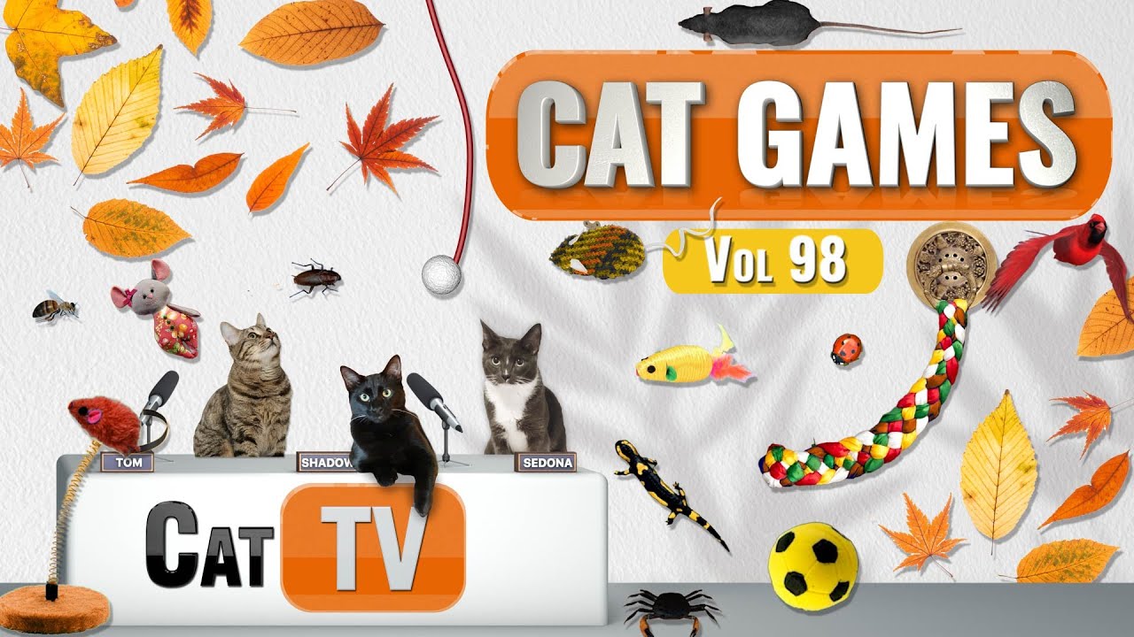CAT Games | Ultimate Cat TV Compilation Vol 98 | 6 HOURS 🐝🐞🦋🦎🦜🐜🐭🧵 - YouTube